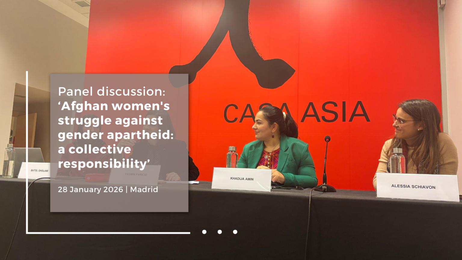 Panel discussion: ‘Afghan women's struggle against gender apartheid: a ...